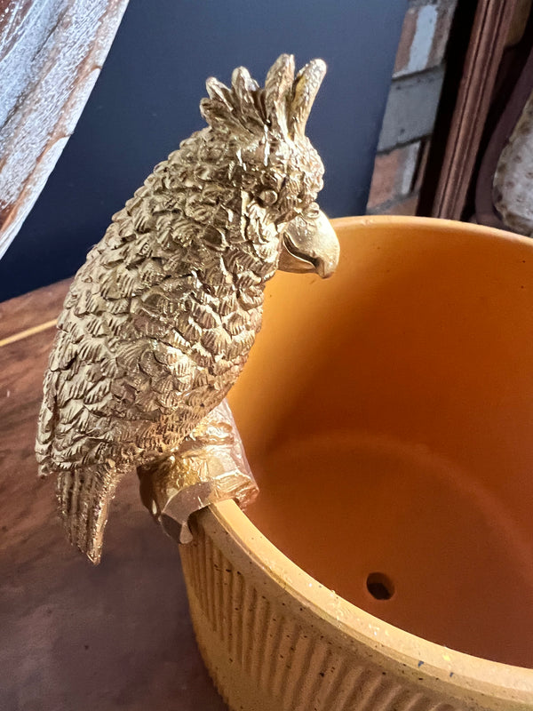 Levi Parrot Pot Hanger - Gold - Faeren Designs