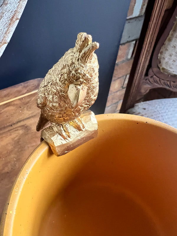 Levi Parrot Pot Hanger - Gold - Faeren Designs