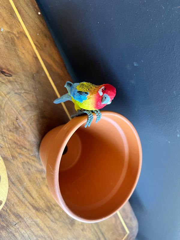 Crimson/Eastern Rosella Pot Sitter- tel - Faeren Designs